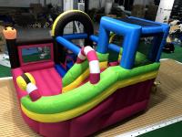 China Inflatable Blow Up Bounce House Moonwalk Water Jumper Bouncer for sale