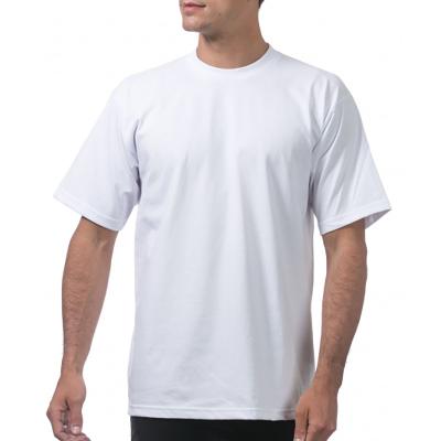 China Lightweight custom Logo Soft 100% Cotton Printing Plain Blank Men T Shirt for gym for sale