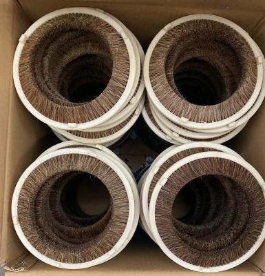 China Weft Feeder Brush OD178 HORSE for sale