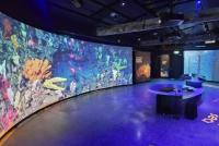 China Curved LED Wall P2 . 5 Immersive Background Digital Display 3840Hz for sale