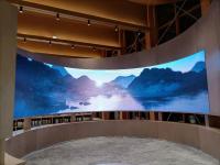China 240*120mm Advertising Indoor Full Color Led Display FPC Soft Led Module IP43 for sale