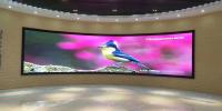 China 240*120mm Advertising Indoor Full Color Led Display FPC Soft Led Module IP43 for sale