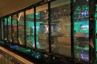 China High Brightness P7.8 Transparent Glass Led Screen 281trillion IC 2038 for sale