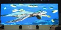 China 3840hz P3 Indoor Led Display Module Screen 196V SMD Novastar Control for sale