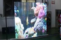 China 5.6mm High Transparency Led Shop Window Display 11 Scan 63775dots/ M2 for sale