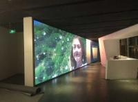 China RoHs 64x48cm LED Wall Cabinet Thinnest P2 Indoor Led Display 40 Scan FCC CCC for sale