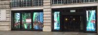 China P10.4 Curtain Outdoor Transparent Led Screen 100*100cm Synchronous Control for sale