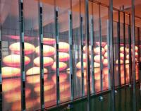 China IP65 1R1G1B Transparent Video Wall Advertising 500*125mm Window Display for sale