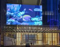 China Full Color SMD2020 Transparent LED Panels 1/ 16 Scan 32873 Pixels ODM for sale