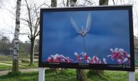 China P4mm Outdoor Led Video Walls IP65 Advertising Screen Display 62500 Dots/ M2 CCC for sale