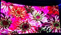 China Indoor HD P2.5 SMD Soft LED Display Curved Indoor Led Flexible Module for sale