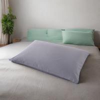 China US Queen 60*80inch Organic Cotton Grounding Sheet Flat Cord Natural Wellness Silver Fiber Safety White Degerming Maxsharer for sale