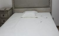 China Silver Fiber Conductive Bed Set Fitted and Flat Sheet Healthy Sleeping Bed for sale
