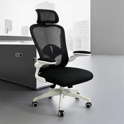 China Ergonomic Office Chair with Adjustable Lumbar Support Breathable Mesh Back 360 Swivel for sale