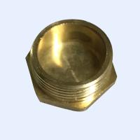 China Brass Stopping Plug Slotted Head for Electrical Conduit 20mm 25mm 32mm BS4568 BS31 Standards for sale