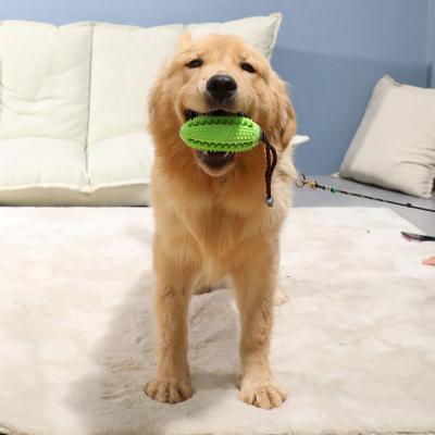 China Bite Resistant Dog Slow Feeder Ball Molar Stick With Thorn TPR Food Leakage Device for sale