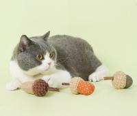 China Scratcher Training Catnip Chew Toys For Cats Teeth For Pets Kittens Kitty Supplies for sale