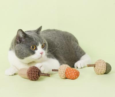 China Scratcher Training Catnip Chew Toys For Cats Teeth For Pets Kittens Kitty Supplies for sale