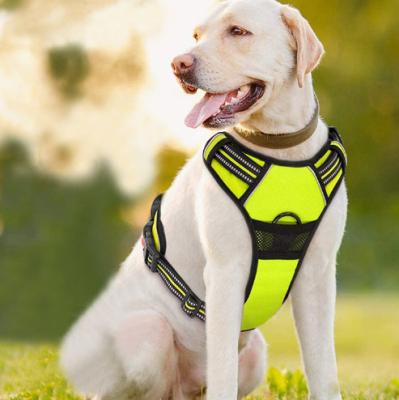 China Nylon Reflective Pet Harness Leash For Large Dogs With Pull Handle for sale