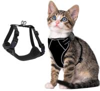 China Adjustable Breathable Outdoor Cat Harness With Reflective Strip For Small Medium Large Cats for sale