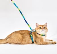 China Adjustable Pet Harness Leash For Large Small Cats Walking Travel Outdoor for sale