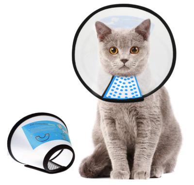 China Adjustable Pet Training Collars White Comfy Dog Cat Cone Collar for sale