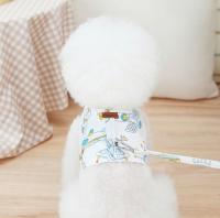 China Nylon Adjustable Universal Pet Harness Leash White For Cats for sale