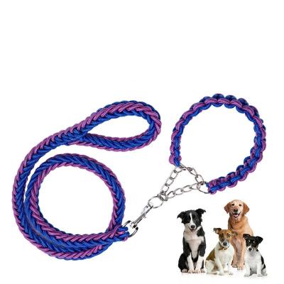 China Pet Adjustable Collar Dog Anti Impact Eight Strand Nylon Braided Leash for sale