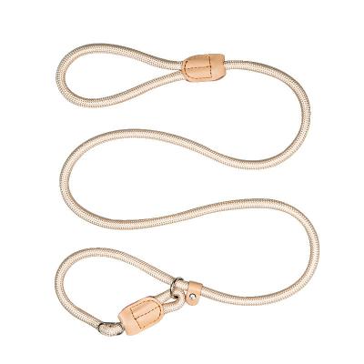 China Mesh Dog Leash Training Dog P Chain Flush Adjustable Dog Leash for sale