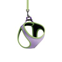 China Pet Polyester Leash Breathable Mesh Harness For Dog Walking Small Dogs And Cats for sale