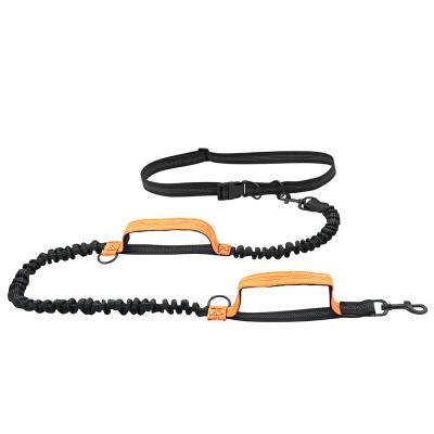 China Pet Reflective Two Hand Handle Leash Hands Free Outdoor Portable Running Dog Leash for sale
