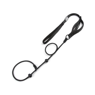 China Pet Nylon P Chain Leash Dog Explosion-Proof Punch Handle Integrated Dog Walking Rope for sale