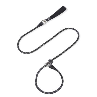 China Pet Explosion-Proof P Chain Leash Dog Reflective Breathable Integrated Dog Leash for sale