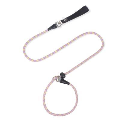 China Pet Explosion-Proof P Chain Leash Dog Reflective Breathable No Hand-Tightening Integrated Dog Leash for sale