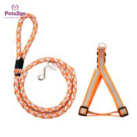 China Smart Light Up 5m Pet Collar And Leash For Dog for sale