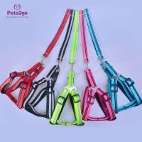 China Nylon Rope Odm XL Dog Walking Training Leash for sale