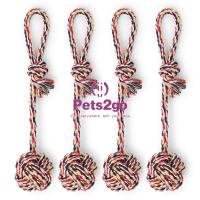 China Braided 20cm Rope Pet Chew Toys For Small Medium Dogs for sale