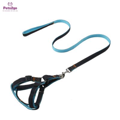 China Dog Leash Puppy Collar And Leash Set 30m Retractable Dog Lead for sale