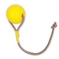 China Floating Solid Elastic Light Pet Training Eva Chew Toy Ball 7x7cm With Rope for sale
