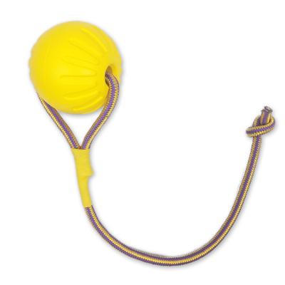 China Floating Solid Elastic Light Pet Training Eva Chew Toy Ball 7x7cm With Rope for sale