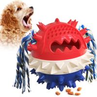 China Leaky Food Ball Dog Puzzle Dog Squeaky Toy Molars Stick Plastic for sale
