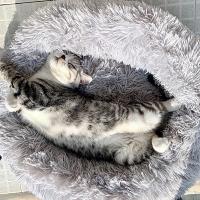 China Cushion Polypropylene Plush Round 300g Cat Nest Basket for sale