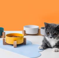 China High Feeding Station Elevated 18cm Slow Food Bowl For Cats for sale