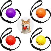 China Natural Rubber Indestructible Dog Chew Toys Interactive for sale