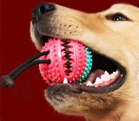 China Chewy Dispensing Proof Dog Puzzle Training Ball On Rope For Dogs Puppies for sale