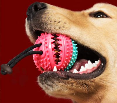 China Chewy Dispensing Proof Dog Puzzle Training Ball On Rope For Dogs Puppies for sale