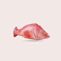 China Phonation Fish Funny Cat Toy Oxford Cloth PP Cotton Simulation Bite Resistant for sale