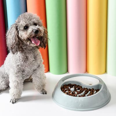 China Slow Feeder Food Water 2 In 1 Bowl For Small Medium Dogs for sale