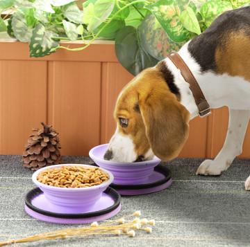 China Silicone Collapsible Dog Bowl Set Foldable Expandable Pet Food Water Feeding Cup Dish for Outdoors Travel for sale