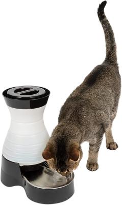 China Stainless Steel Automatic Pet Food Station With Microchip for sale